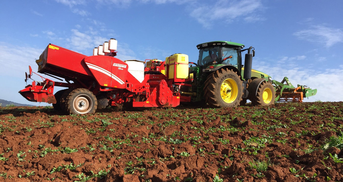 5 Reasons Why Local Food Production is Essential - Mountain Harvest Foods 5 Reasons Why Local Food Production is Essential - Mountain Harvest Foods